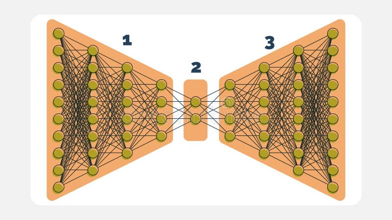 Detailed Autoencoder Network Illustration Encoding Hidden Layer And Decoding Stock Vector