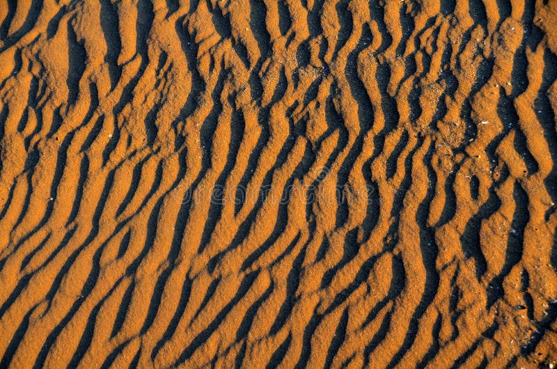 Detailed Beach Sand Dune Pattern Texture during Sunset Stock Image ...