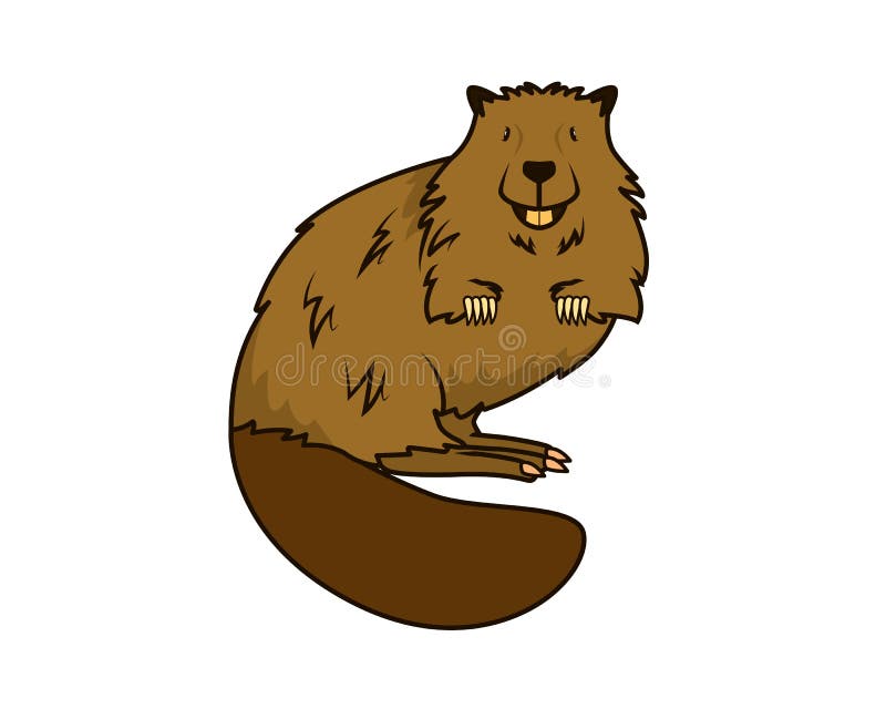 Detailed Beaver with Standing Gesture Illustration Stock Vector ...
