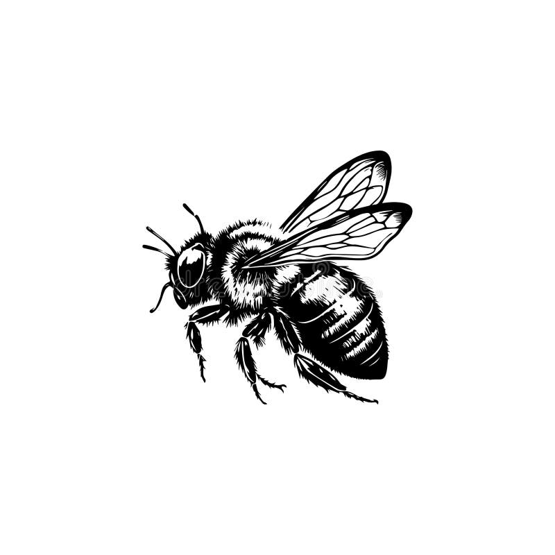 Detailed Bee Silhouette. Vector Icon Stock Illustration - Illustration ...