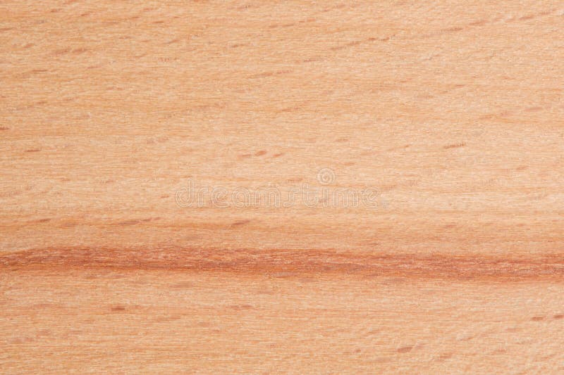 Detailed Beech Wood Grain. Enhances Authenticity, Perfect for Adding ...