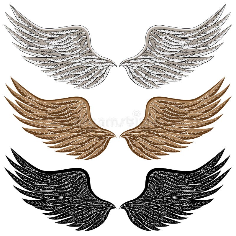 Detailed Bird Wings stock vector. Illustration of element - 23244423