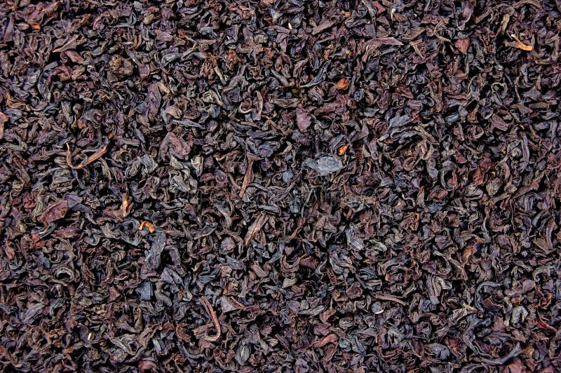 Detailed Black Tea Leaf Texture Background Stock Image - Image of ...