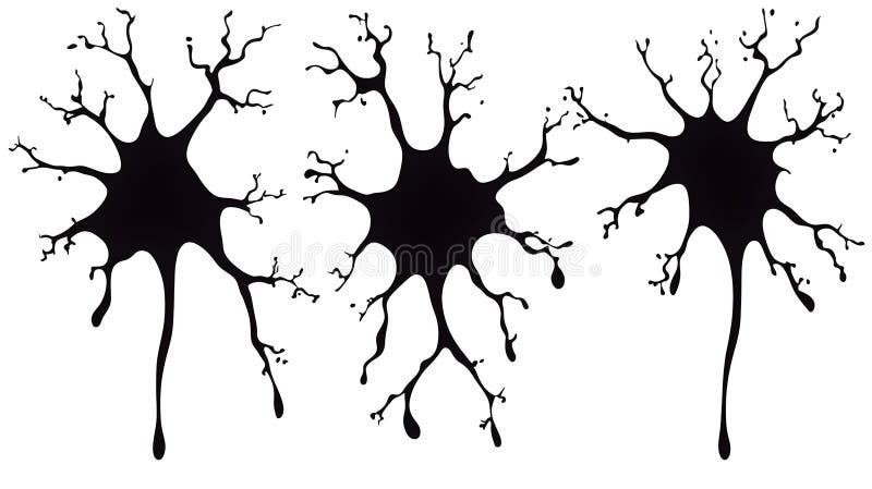Detailed Black and White Neuron Cell Illustrations on White Background ...