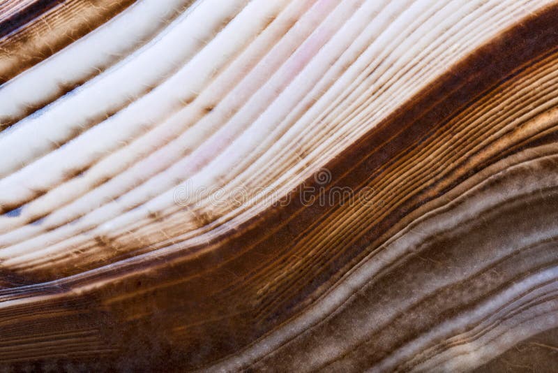 Detailed Close-up of Agate Dark and Light Brown Lines Stock Photo ...