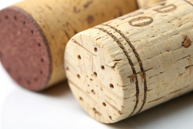 Detailed Close-Up of a Barrel Cork: Rustic Charm Stock Illustration ...