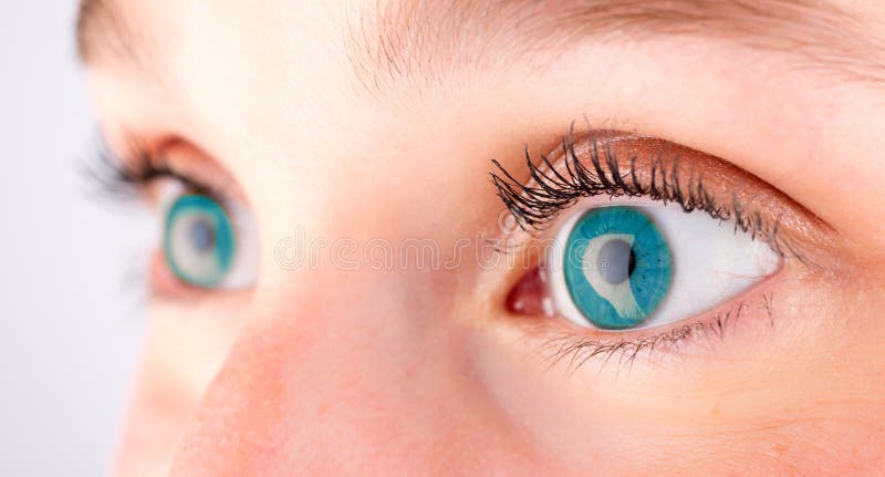 Detailed Close Up of an Blue Eye in High Definition Stock Photo - Image ...