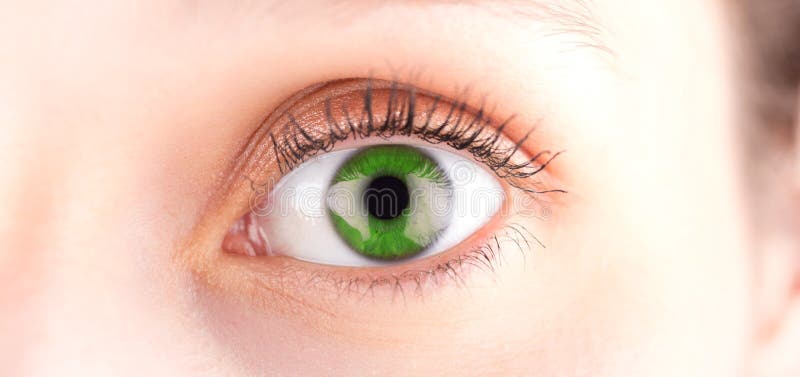 Detailed Close Up of an Green Eye in High Definition Stock Photo ...