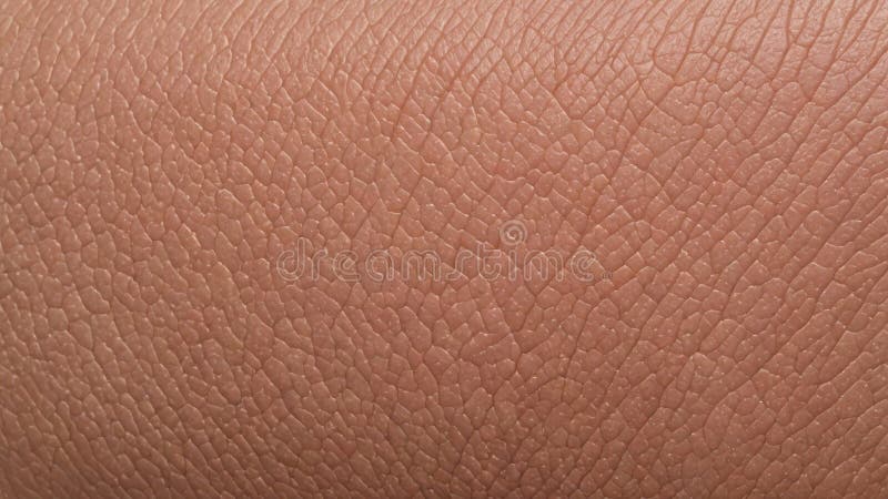 Detailed Close-up of Human Skin Texture, Highlighting Natural Patterns ...