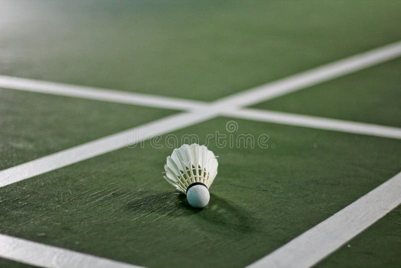 Badminton Court with a Shuttlecock at the Corner Stock Image - Image of ...