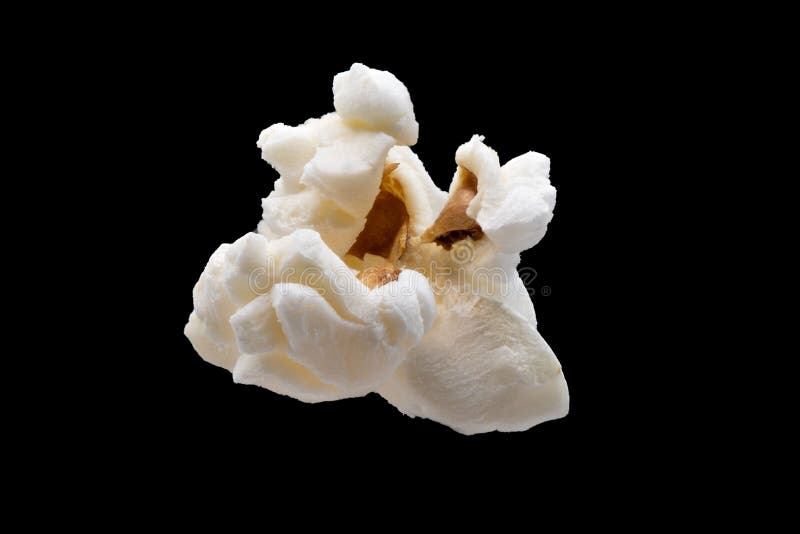 Closeup of a Single Popcorn Kernel. Stock Photo - Image of background ...