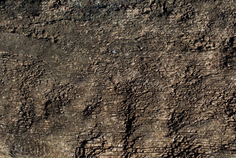 Detailed Closeup of a Rough Concrete Surface Stock Image - Image of ...