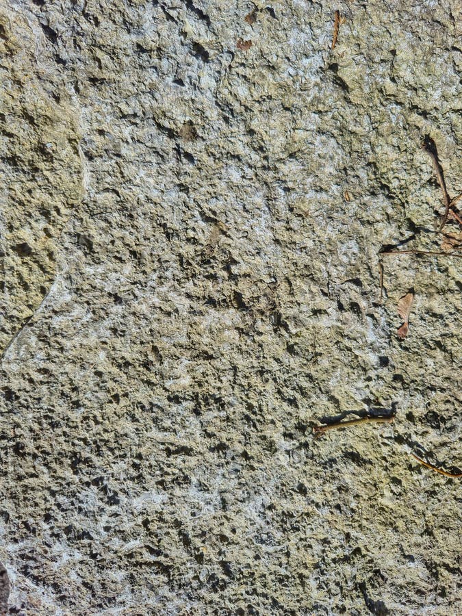 A CloseUp View of a Textured Rock Surface Featuring Intricate Natural ...