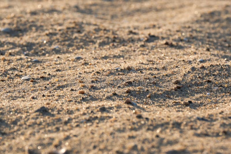 Detailed CloseUp of Sandy Ground Showing Textures, Patterns, and ...