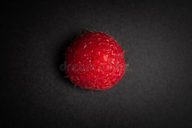 Detailed Closeup of Single Red Raspberry Stock Photo - Image of food ...