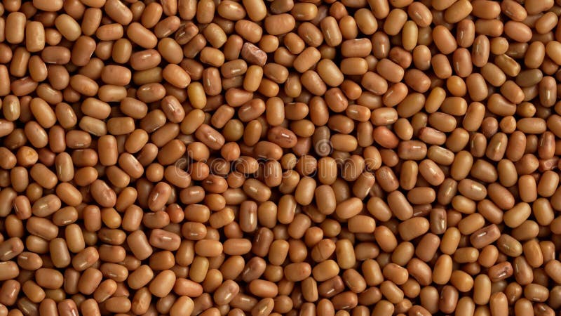 Detailed Closeup Top View of a Pile of Organic, Fresh Moth Beans Stock ...