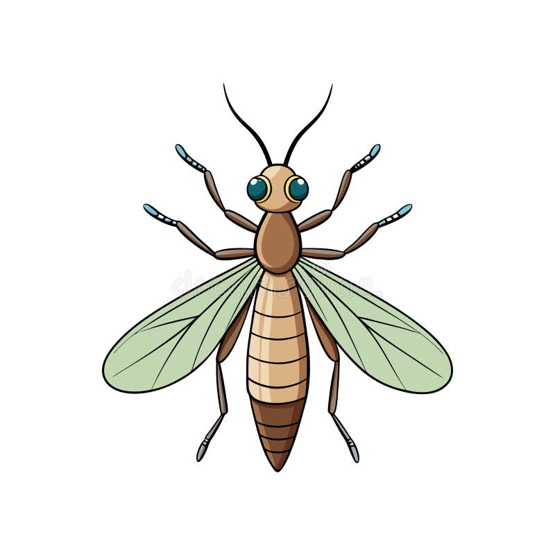 Detailed Color Illustration of Mayfly Stock Illustration - Illustration ...