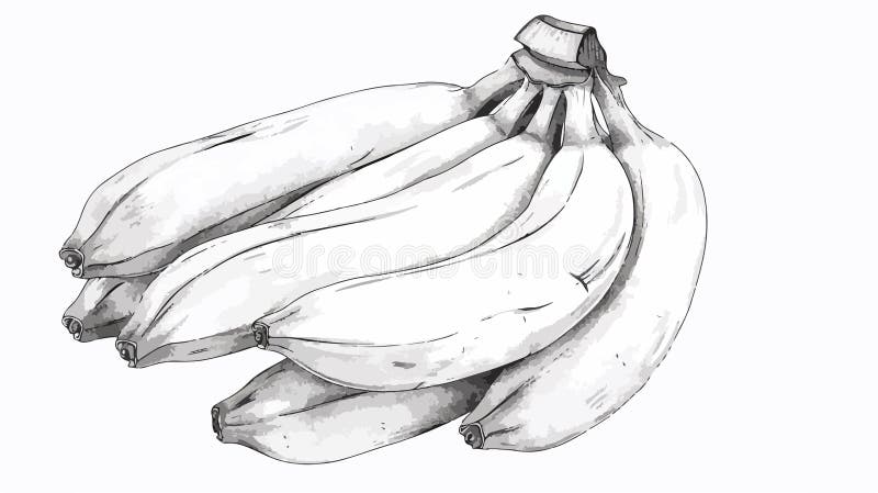 Detailed Continuous Line Drawing of Banana Bunch - Minimalist Artwork ...
