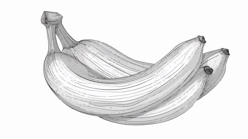 Detailed Continuous Line Drawing of Banana Bunch - Minimalist Artwork ...