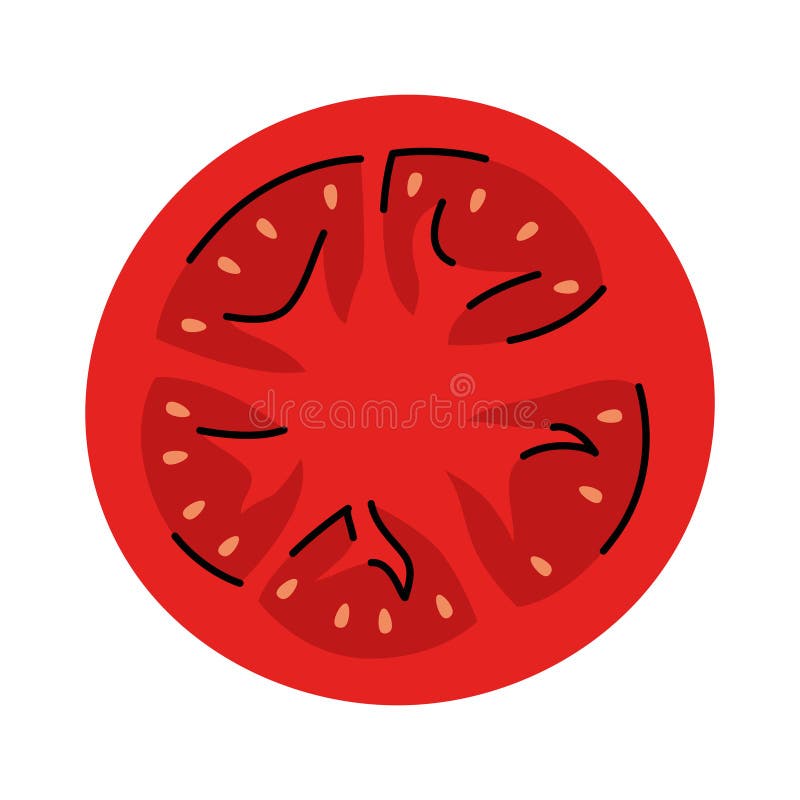 Detailed Cut of Red Tomato. Hand Drawn Tomato Slice with Seeds Stock ...