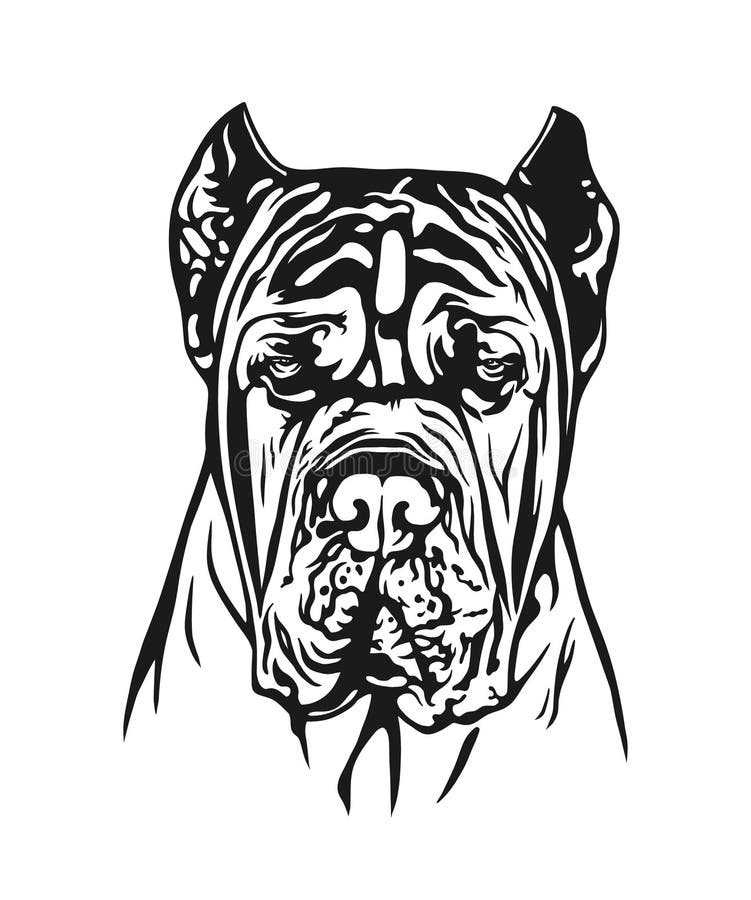 A Detailed Dog Headshot in Black and White Vector Art Stock Vector ...