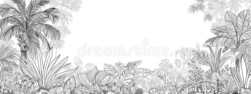 Detailed Drawing: Outline Illustration, Form and Structure of Subject ...