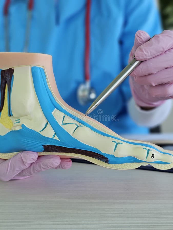 Doctor Studies Feet Blisters Stock Photos - Free & Royalty-Free Stock ...