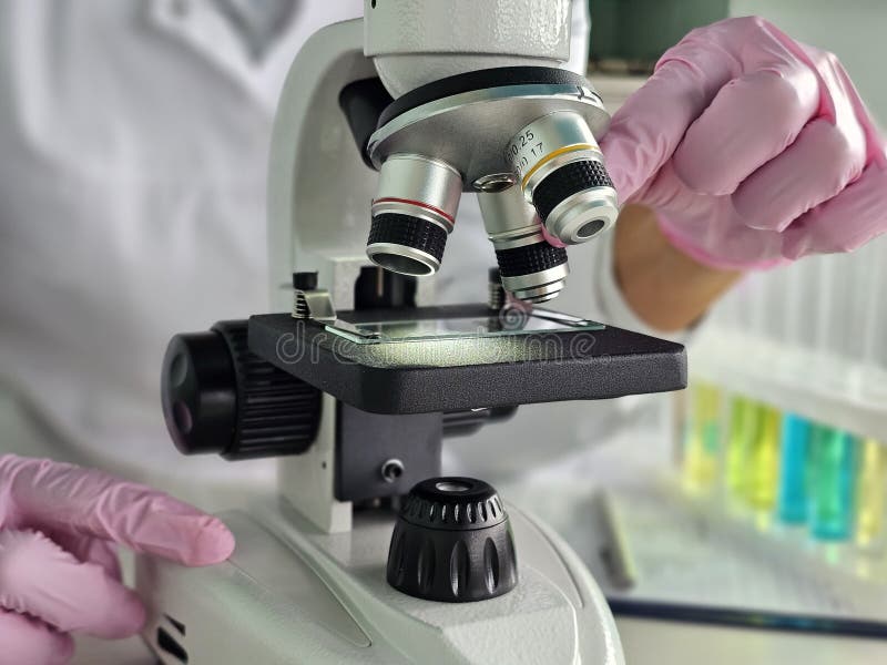 Detailed Examination of Skin Model by Medical Professional in Clinical Setting Focused on Hair ...