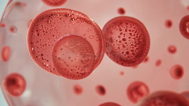 Understanding Red Blood Cells Under a Microscope in a Laboratory ...