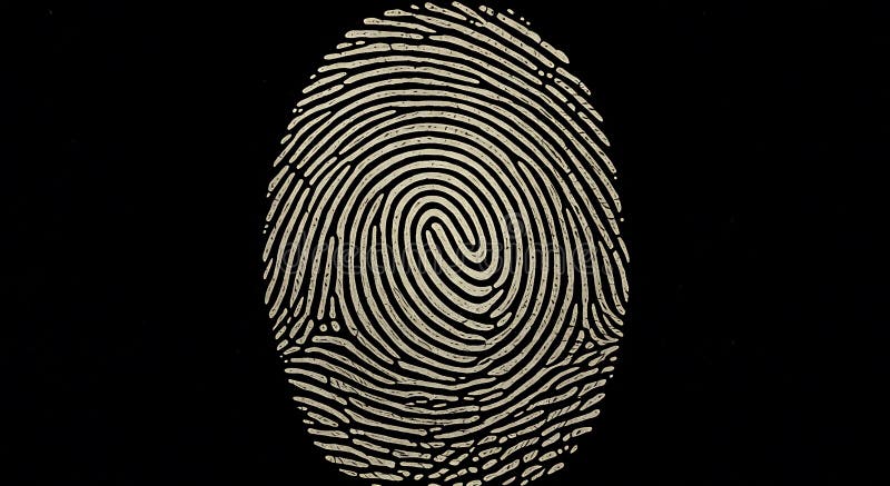 A Detailed Fingerprint with Distinct Ridges and Whorls is Centered on a ...