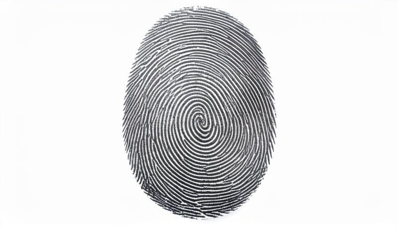Detailed Fingerprint Image on White Background Stock Illustration ...