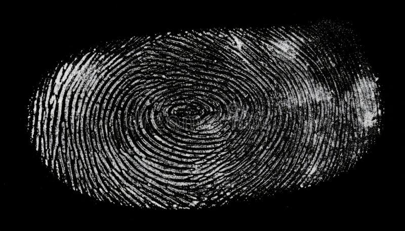 Detailed Fingerprint Scan Image in Grayscale Stock Illustration ...