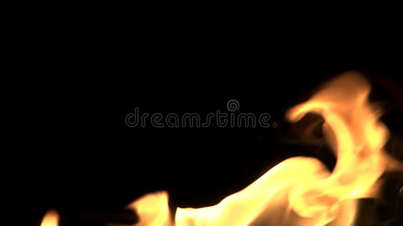 Big Detailed Fire on a Huge Scale Burning Flames on a Black Background ...