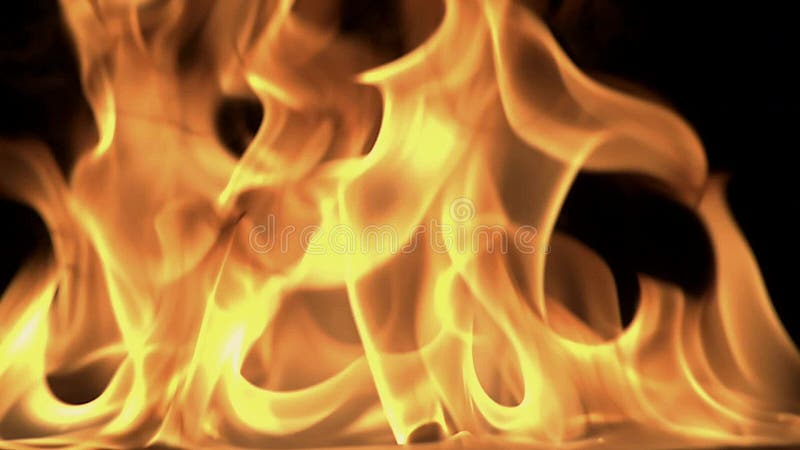 Big Detailed Fire on a Huge Scale Burning Flames on a Black Background ...