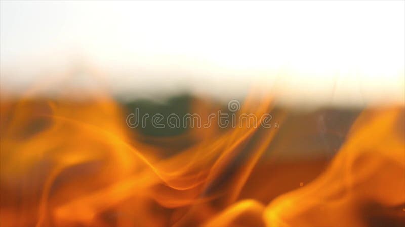 Big Detailed Fire on a Huge Scale Burning Flames on a Black Background ...