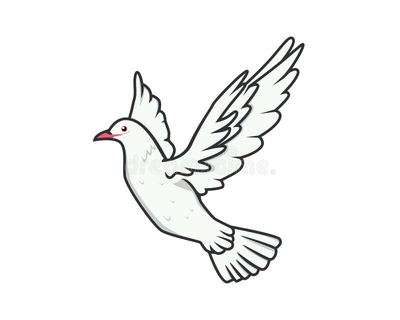 Pigeon Illustration Drawing and White Background Drawing Cartoon and ...