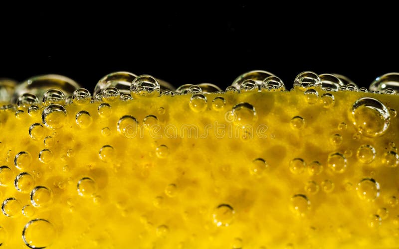 Detailed Gas Bubbles on Lemon in Soda Stock Image - Image of bubbles ...