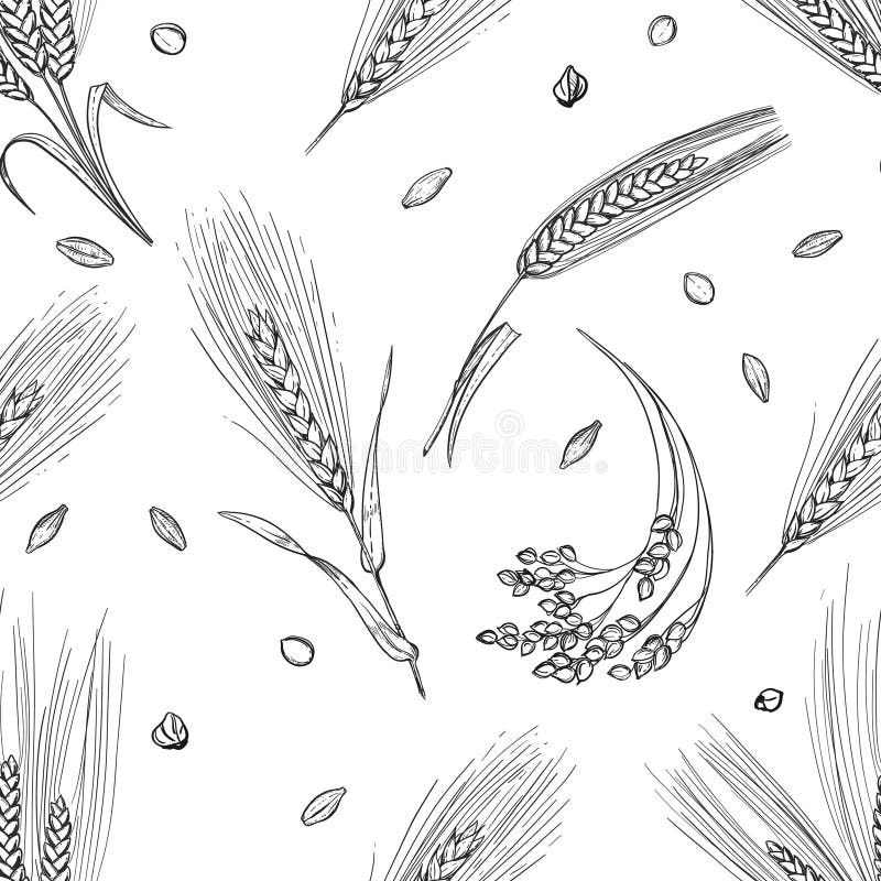 Ear Millet Stock Illustrations – 885 Ear Millet Stock Illustrations ...