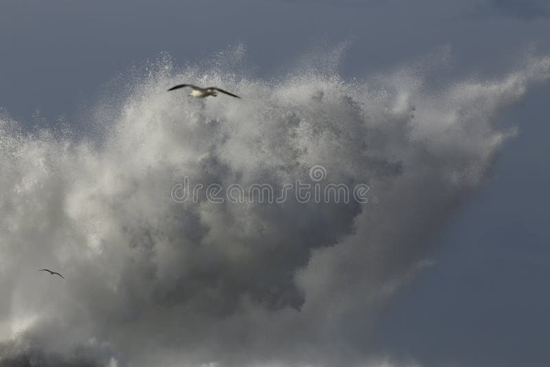Detailed huge wave splash stock image. Image of motion - 174684729
