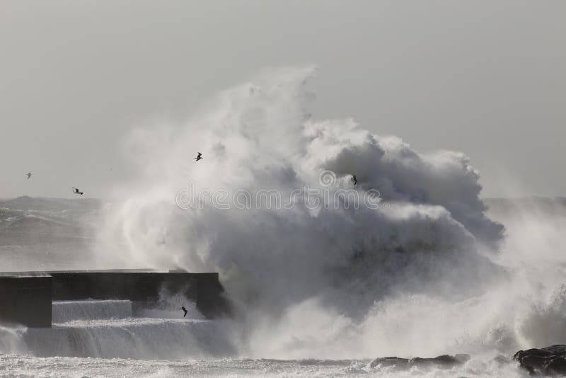 Detailed huge wave splash stock photo. Image of fresh - 170711654