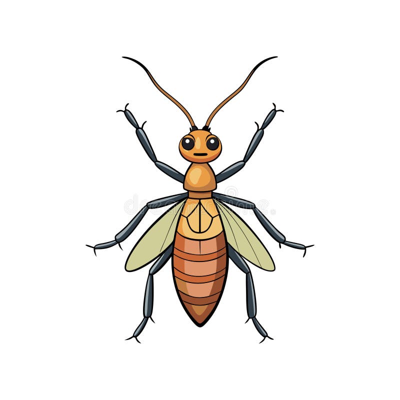 Detailed Illustration of Damsel Bug in Color Stock Illustration ...