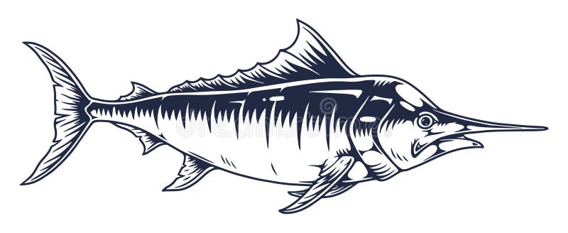 Detailed Illustration of a Marlin Swimming Stock Illustration ...