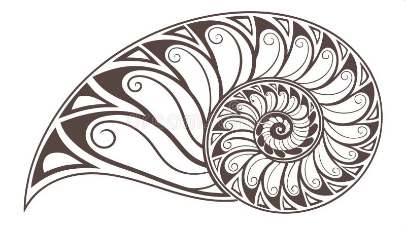 Detailed Illustration of a Nautilus Shell with Intricate Internal ...