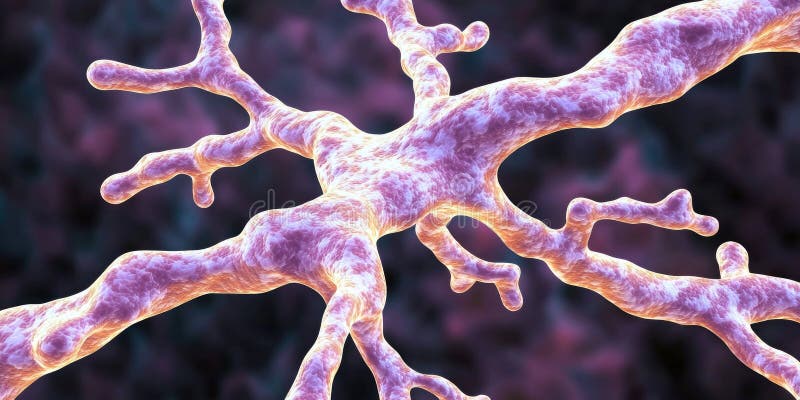 A Detailed Illustration of a Neuron, Showcasing Its Complex Structure ...