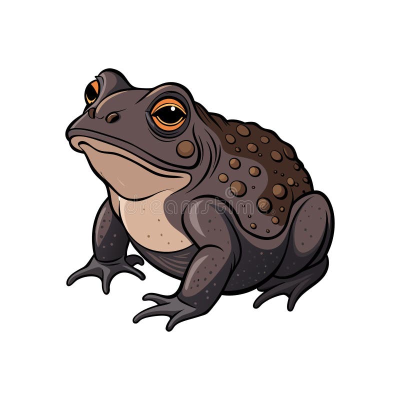Realistic Illustration of Black-Tufted Toad Stock Photo - Illustration ...