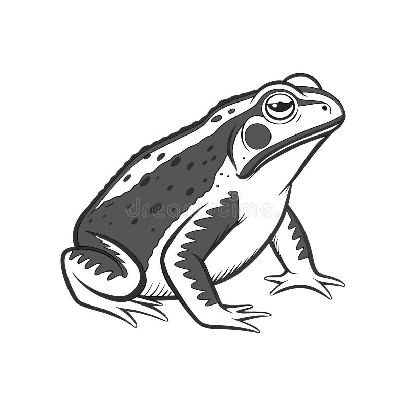 Realistic Illustration of Black-Tufted Toad Stock Image - Illustration ...