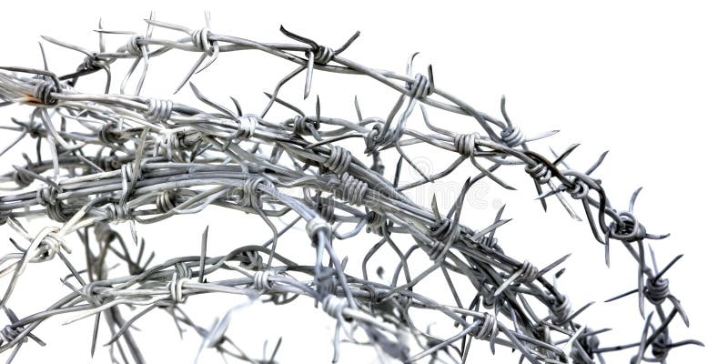 Barbed Wire Tangle: Industrial Ruggedness in Sharp Detail Stock ...