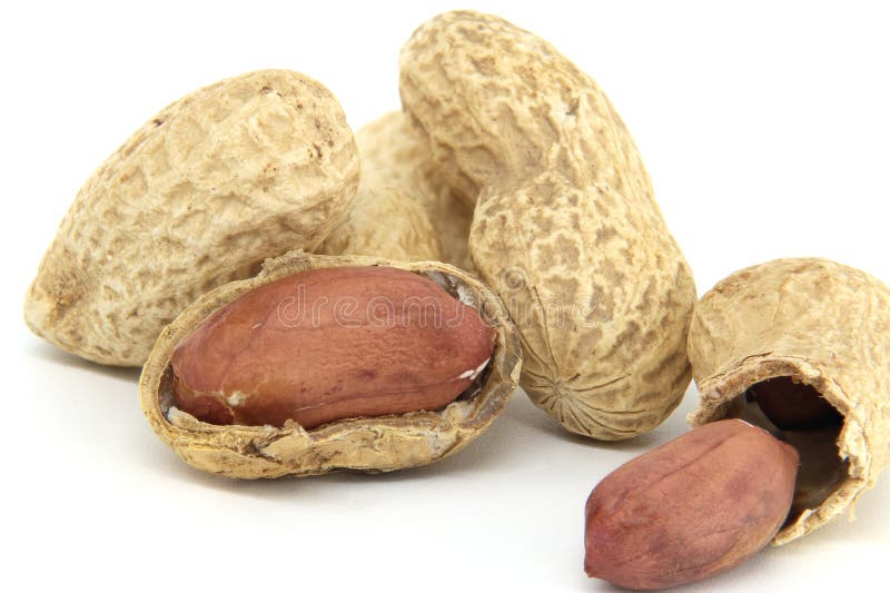 Close-Up View of Shelled Peanuts on a White Surface Stock Illustration ...