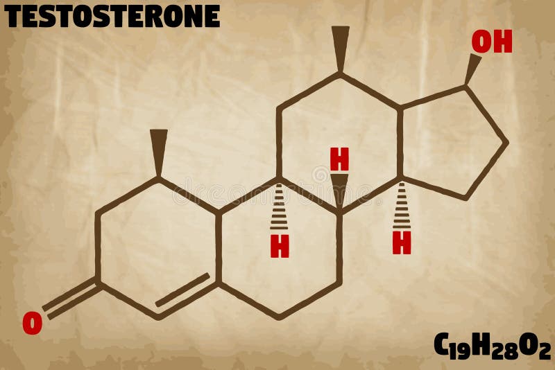 Detailed Illustration of the Molecule of Testosterone Stock Vector ...