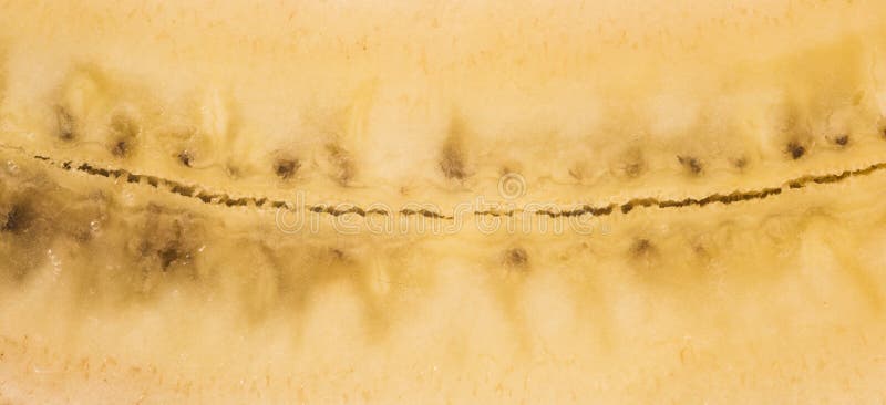 Detailed Inside of a Banana Texture Close Up Shot Stock Photo - Image ...